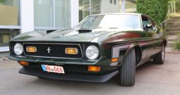 NR Classic Car Collection - Resto Modelle und Survivor Stuttgart